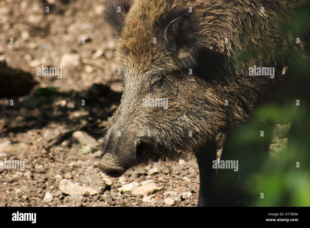 Black smock hi-res stock photography and images - Alamy