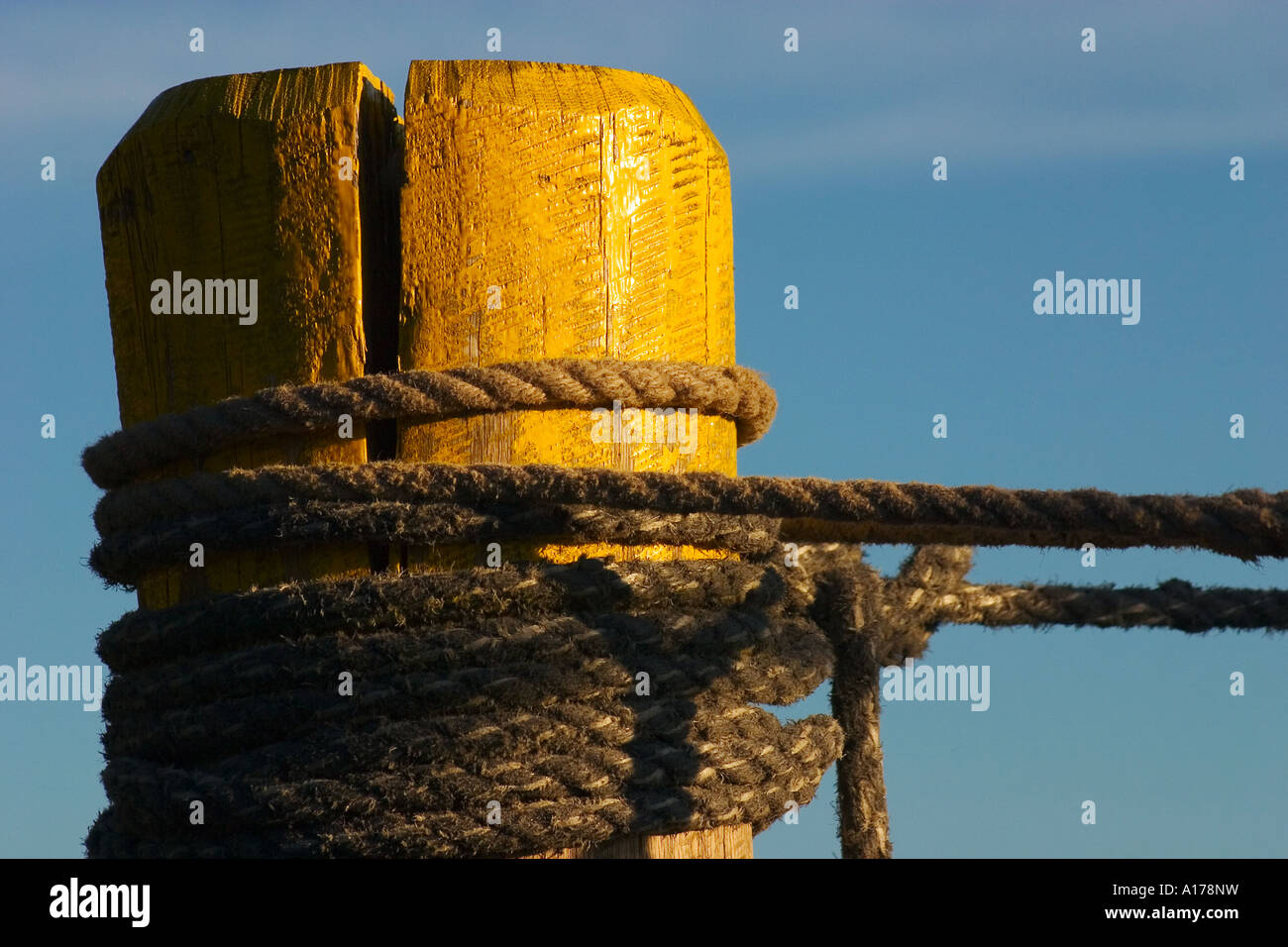 Dew cordage hi-res stock photography and images - Alamy