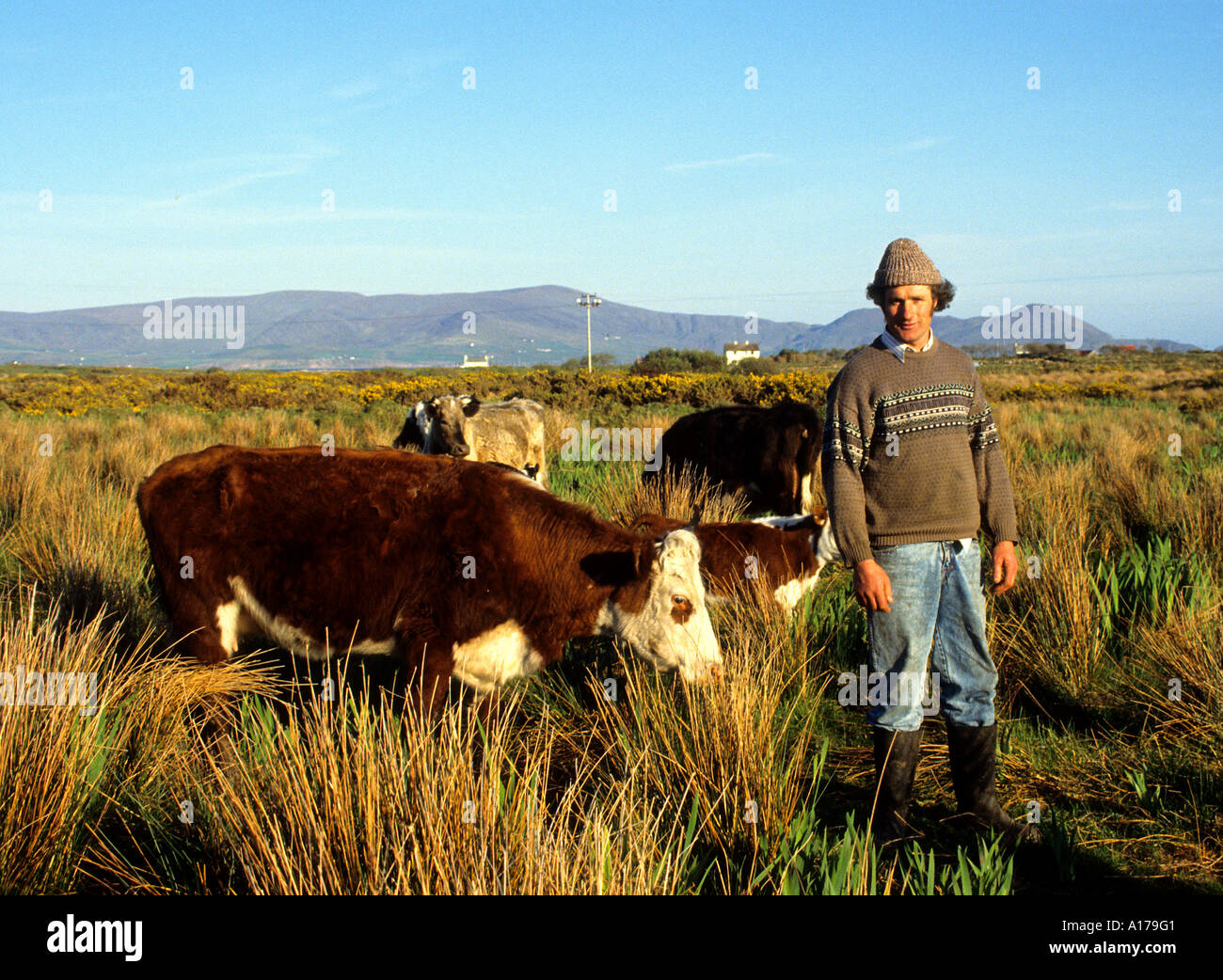 Old irish farmer hi-res stock photography and images - Alamy