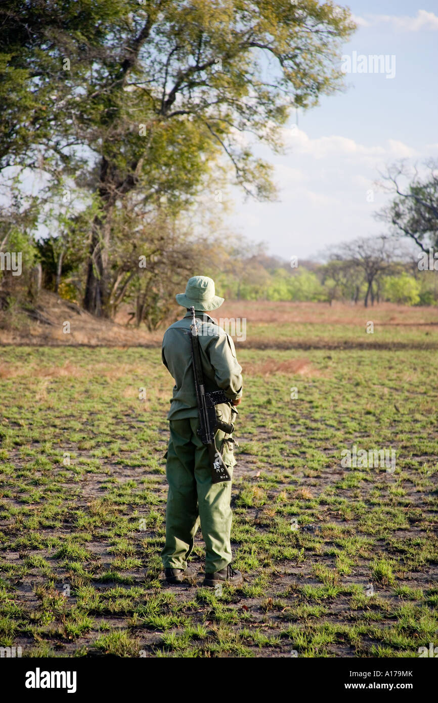 Hunting in africa gun hi-res stock photography and images - Alamy
