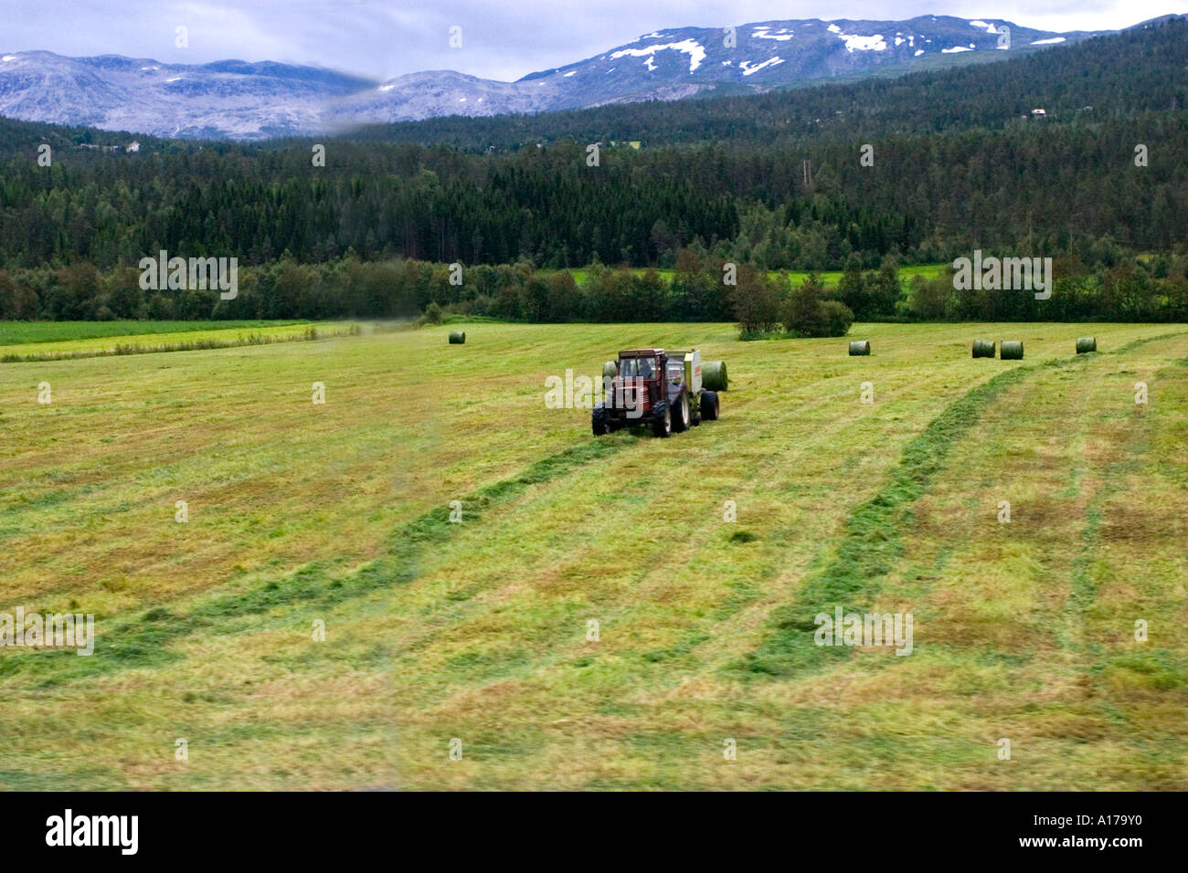 Norway crops agriculture hi-res stock photography and images - Alamy