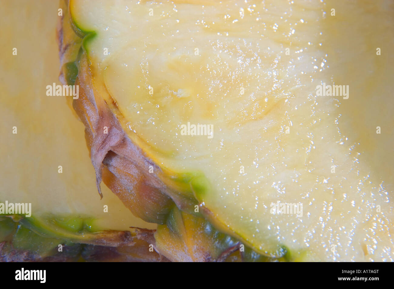 Pine disc hi-res stock photography and images - Alamy