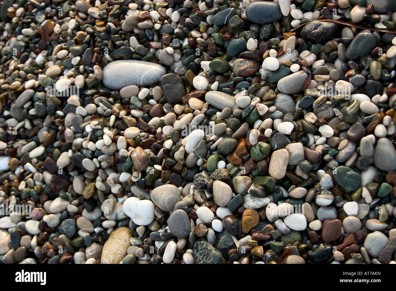 Grit beaches hi-res stock photography and images - Alamy