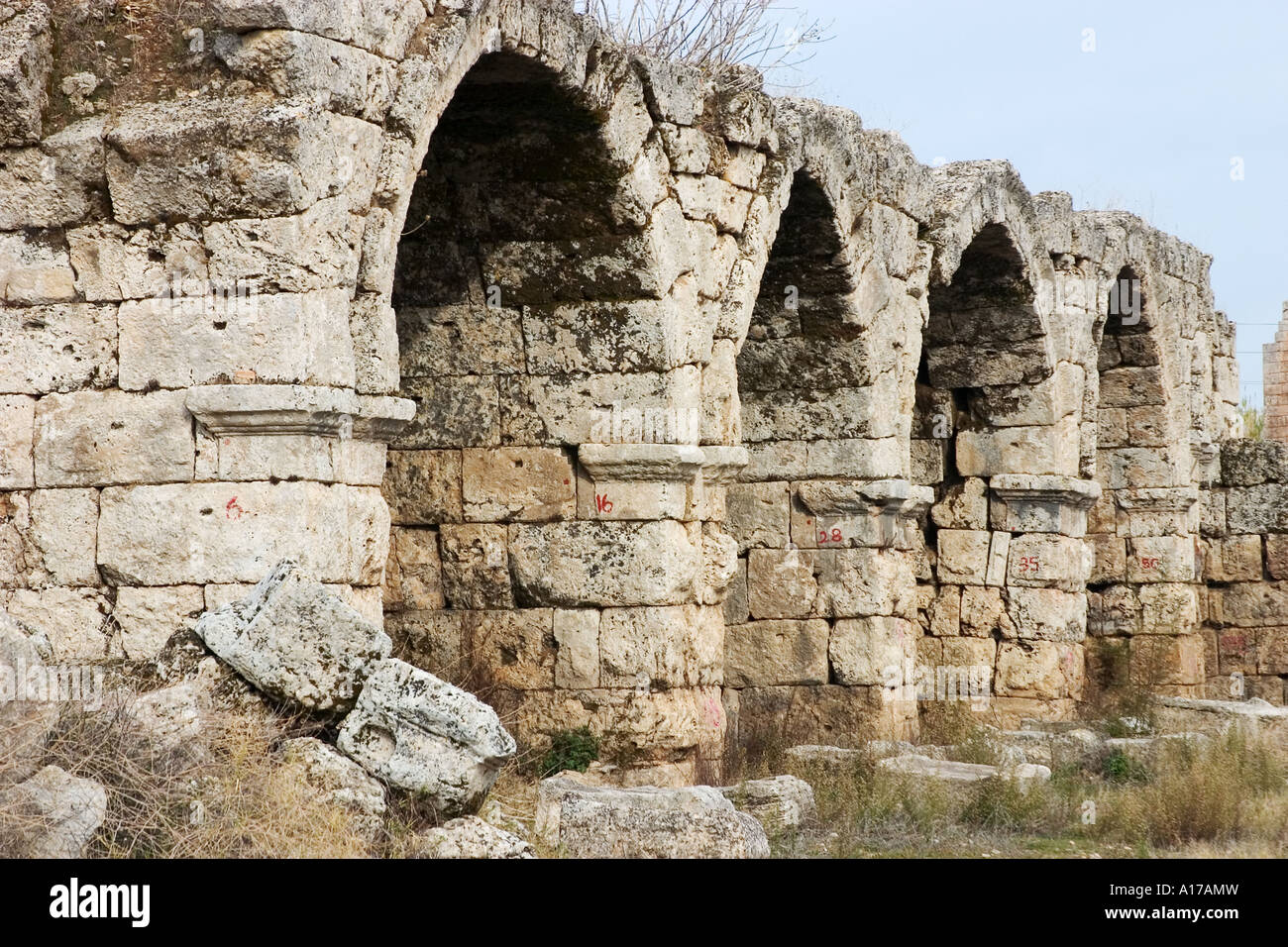 arches to the stadium Stock Photo - Alamy