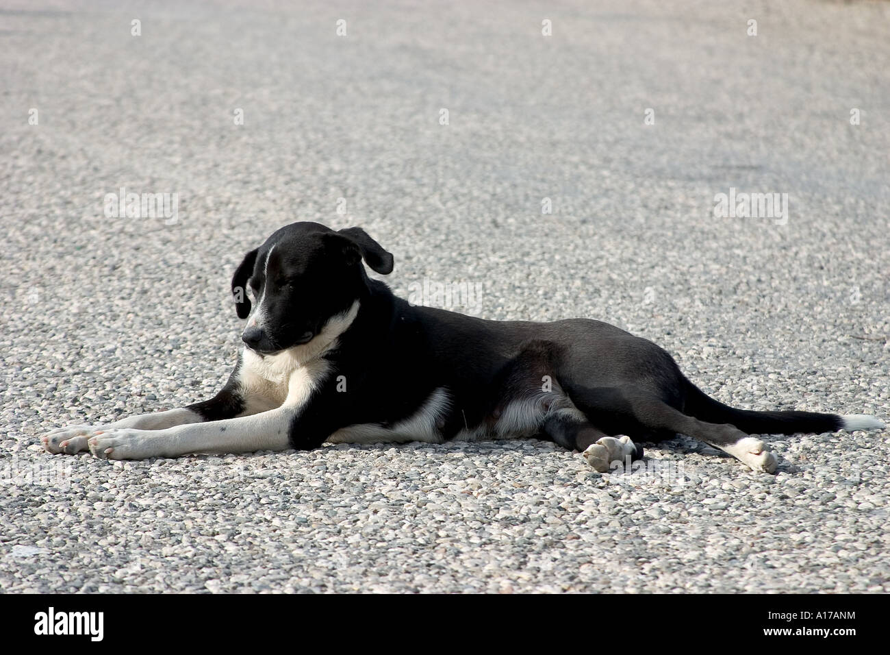 Supinely hi-res stock photography and images - Alamy