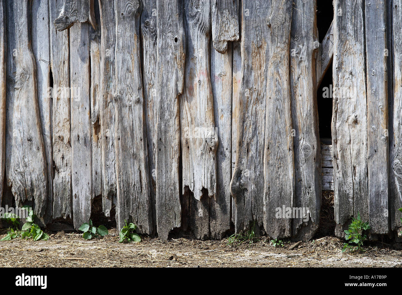 Wood defect hi-res stock photography and images - Alamy