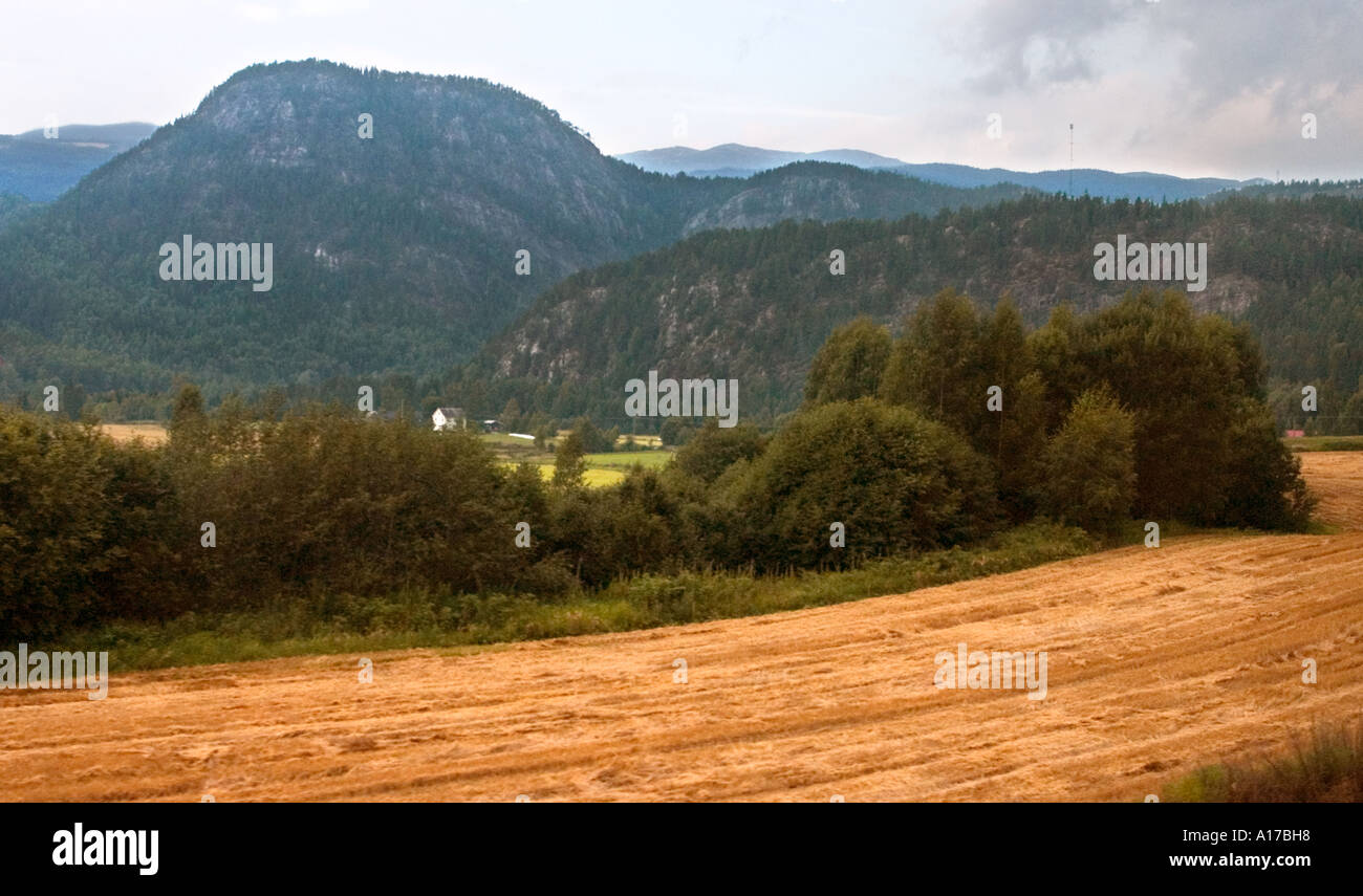 Norway crops agriculture hi-res stock photography and images - Alamy