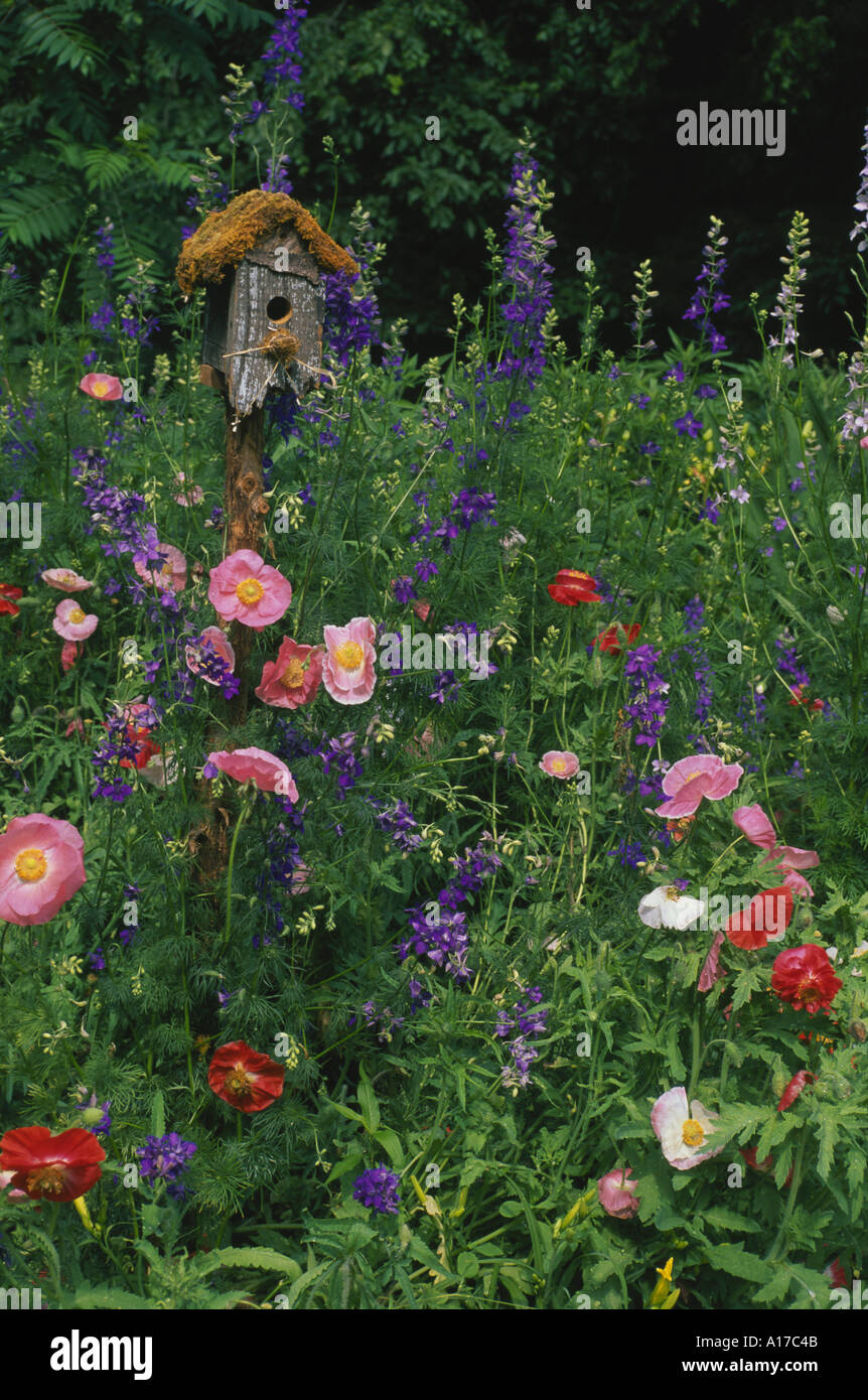 Moss covered handmade fancy rustic wooden birdbox in home garden with ...