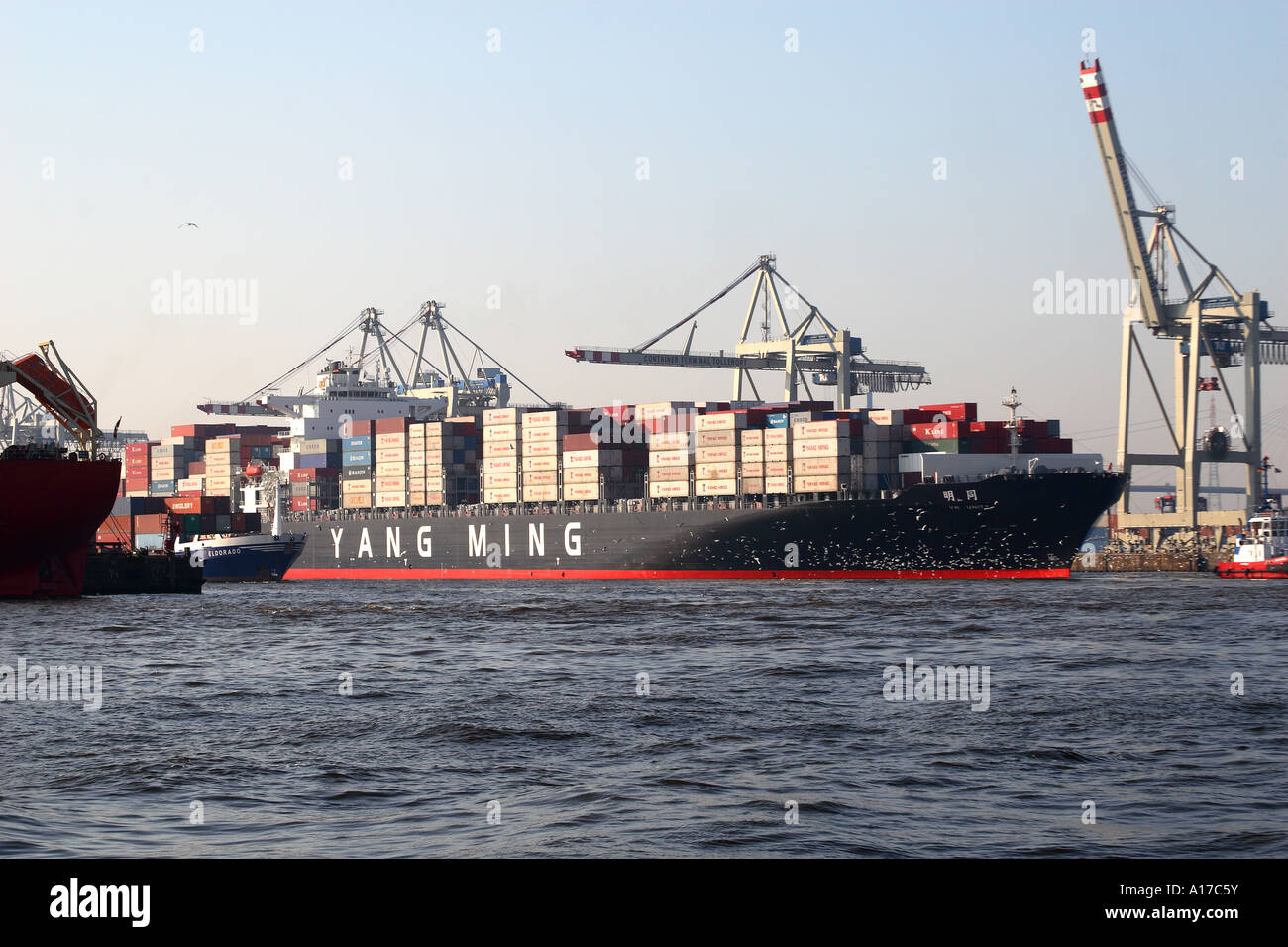 Tang wing hi-res stock photography and images - Alamy