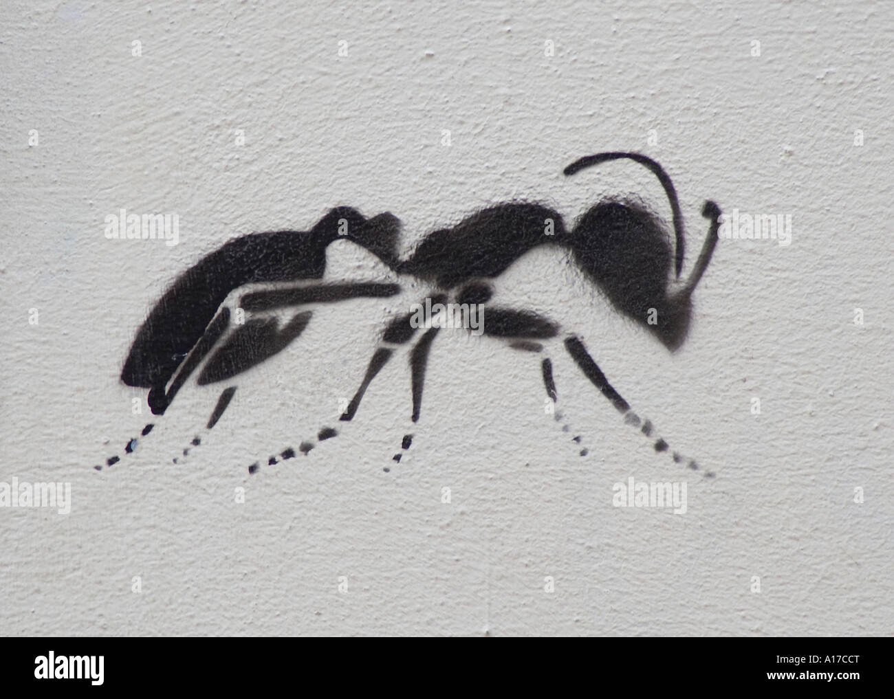 Ants mural hi-res stock photography and images - Alamy