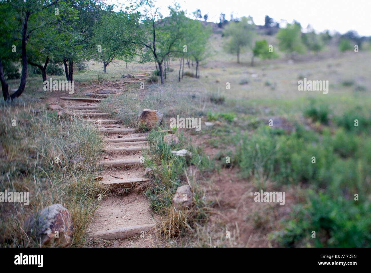Mountain trail steps dirt trail hi-res stock photography and images - Alamy