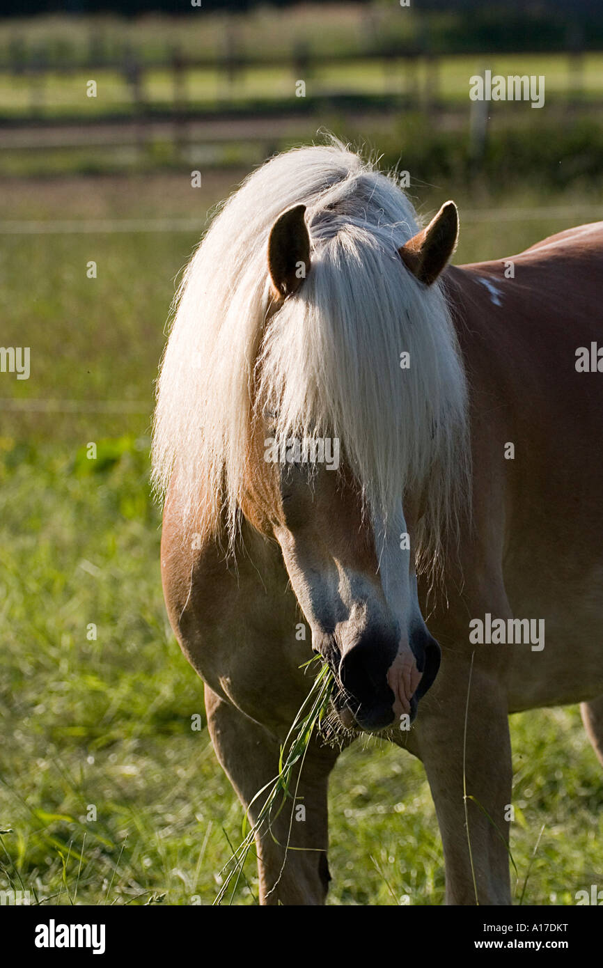 Devour the sun hi-res stock photography and images - Alamy