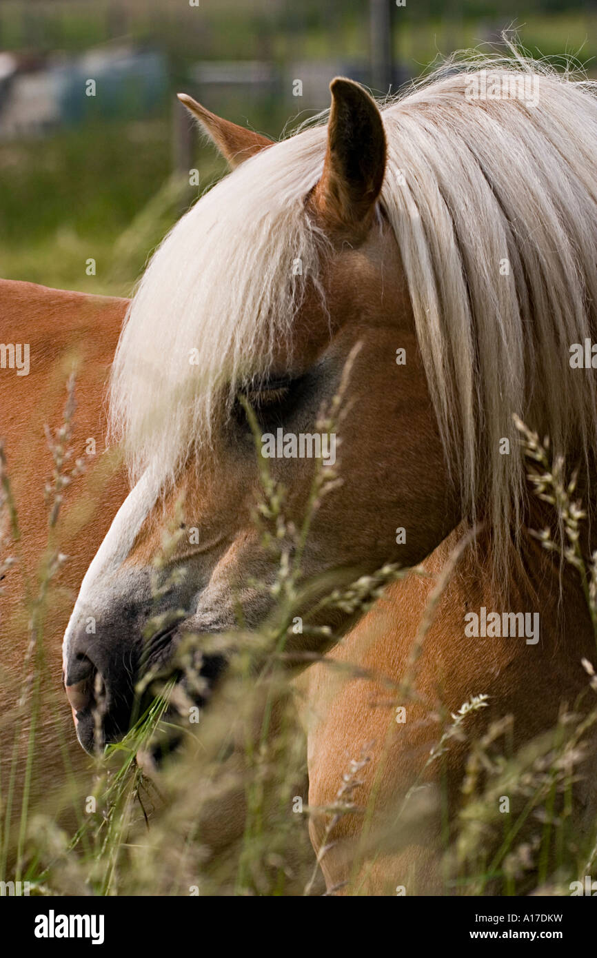 Devour the sun hi-res stock photography and images - Alamy