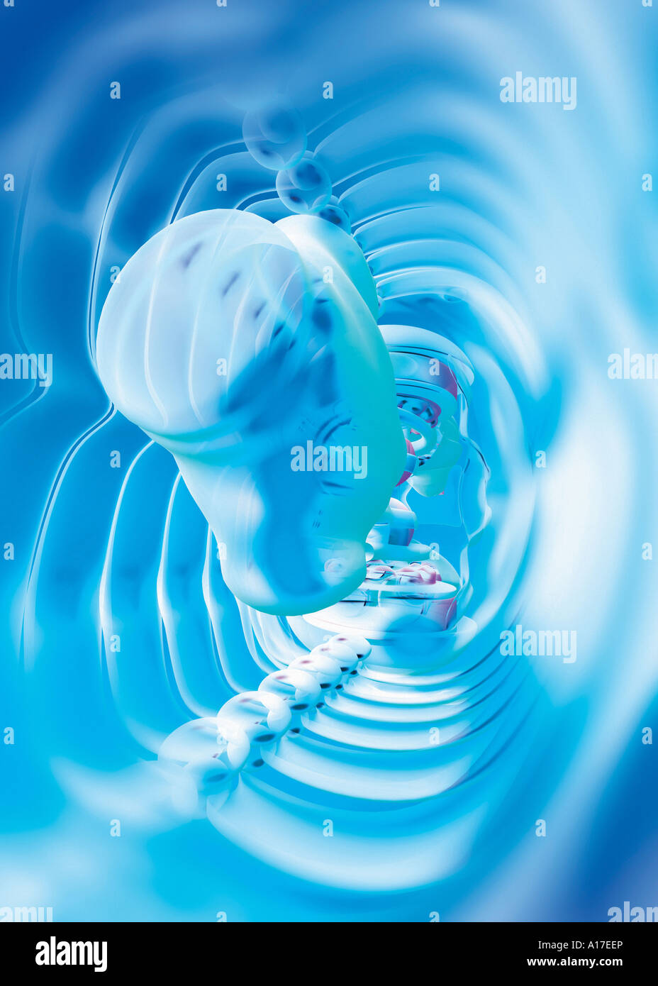 Alien Life Form Stock Photo - Alamy