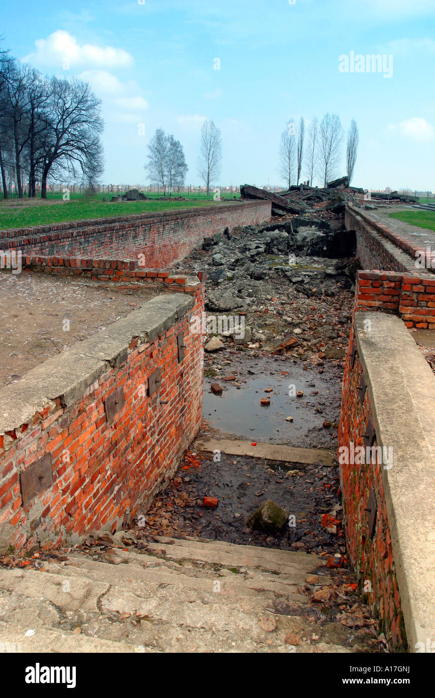 The remains of the gas chambers at Auschwitz concentration camp ...