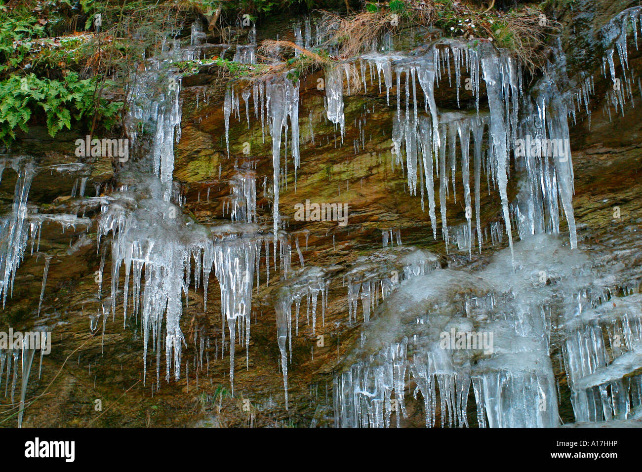 Icicles forming on rocks in Timisoara, Romania Stock Photo - Alamy
