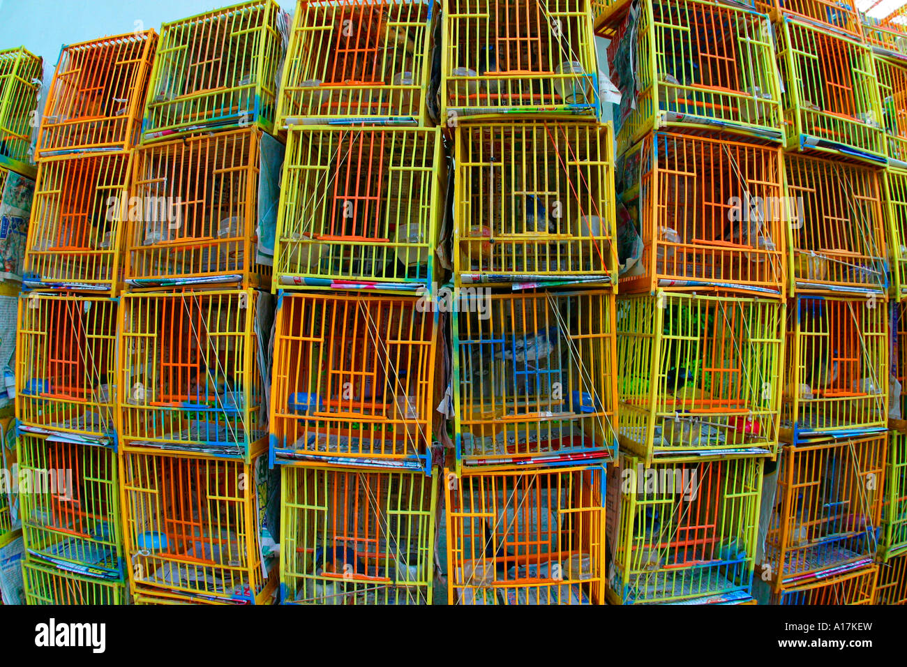 The Bird Market in Hong Kong Stock Photo - Alamy