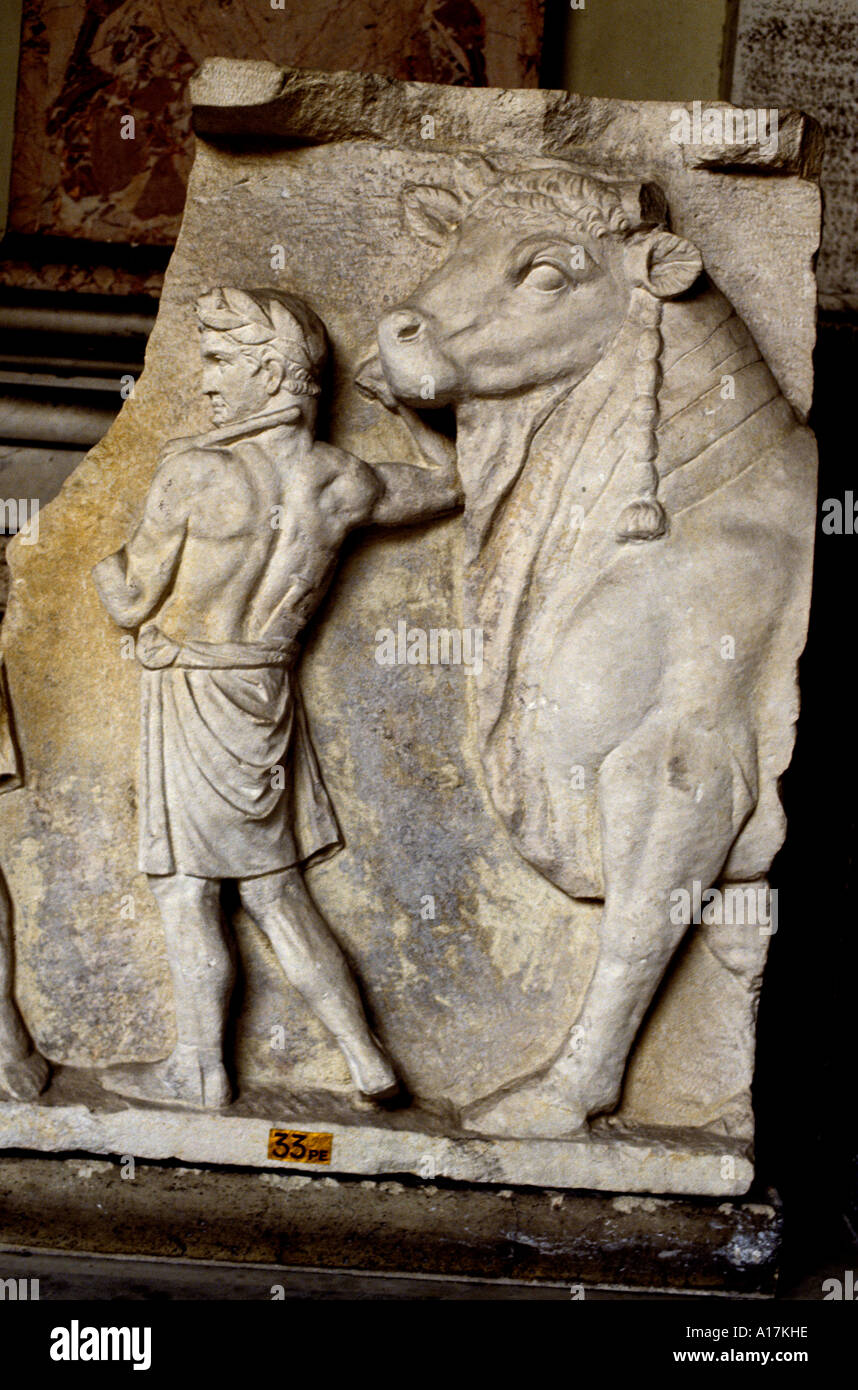 Vatican museum statue Ox Rome Roman Italy Italian Stock Photo - Alamy