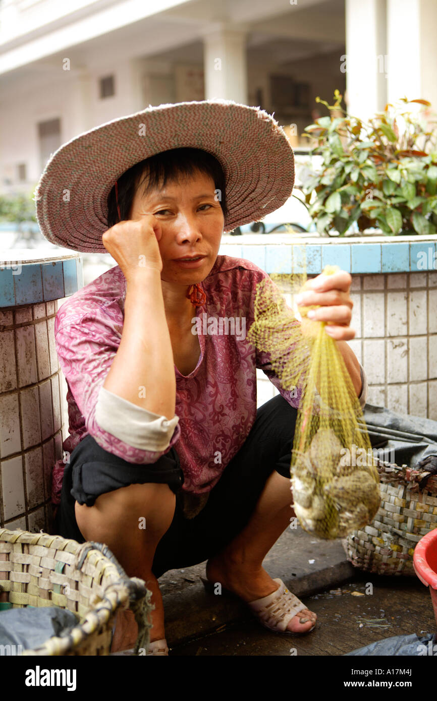 Foshan city china hi-res stock photography and images - Alamy