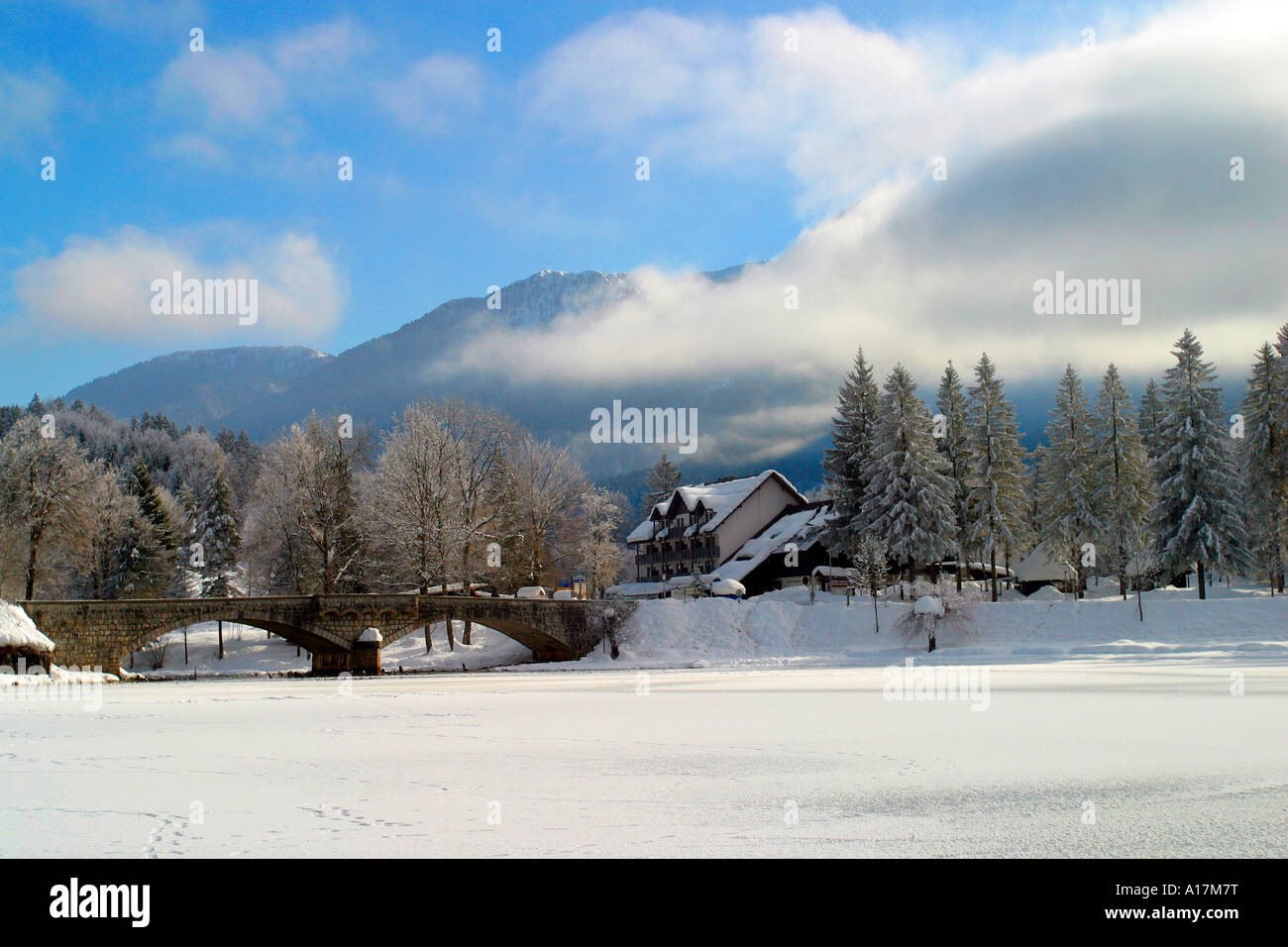 Lake Bled frozen in Winter, Slovenia Stock Photo - Alamy
