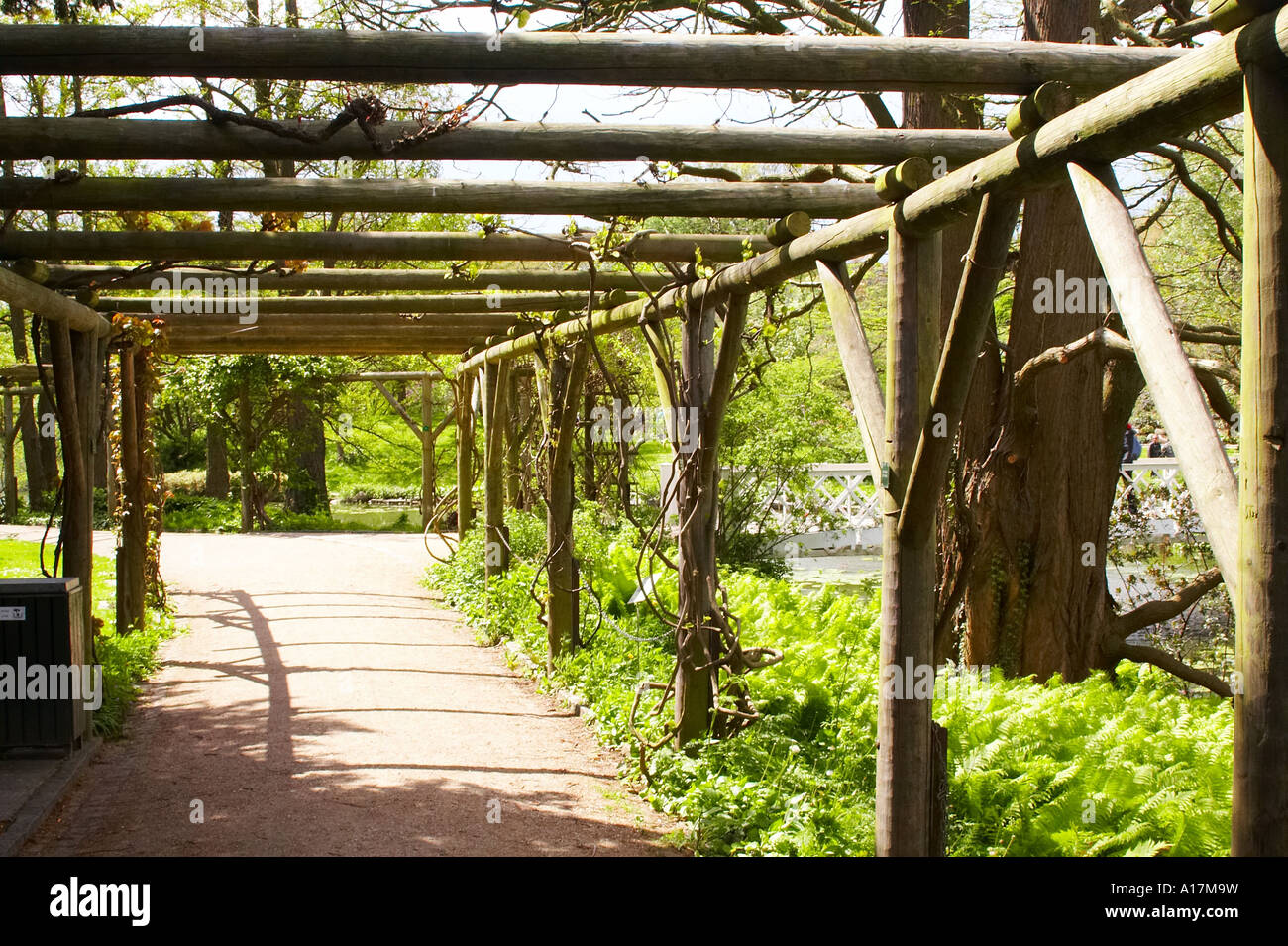 pergola covering path Stock Photo - Alamy