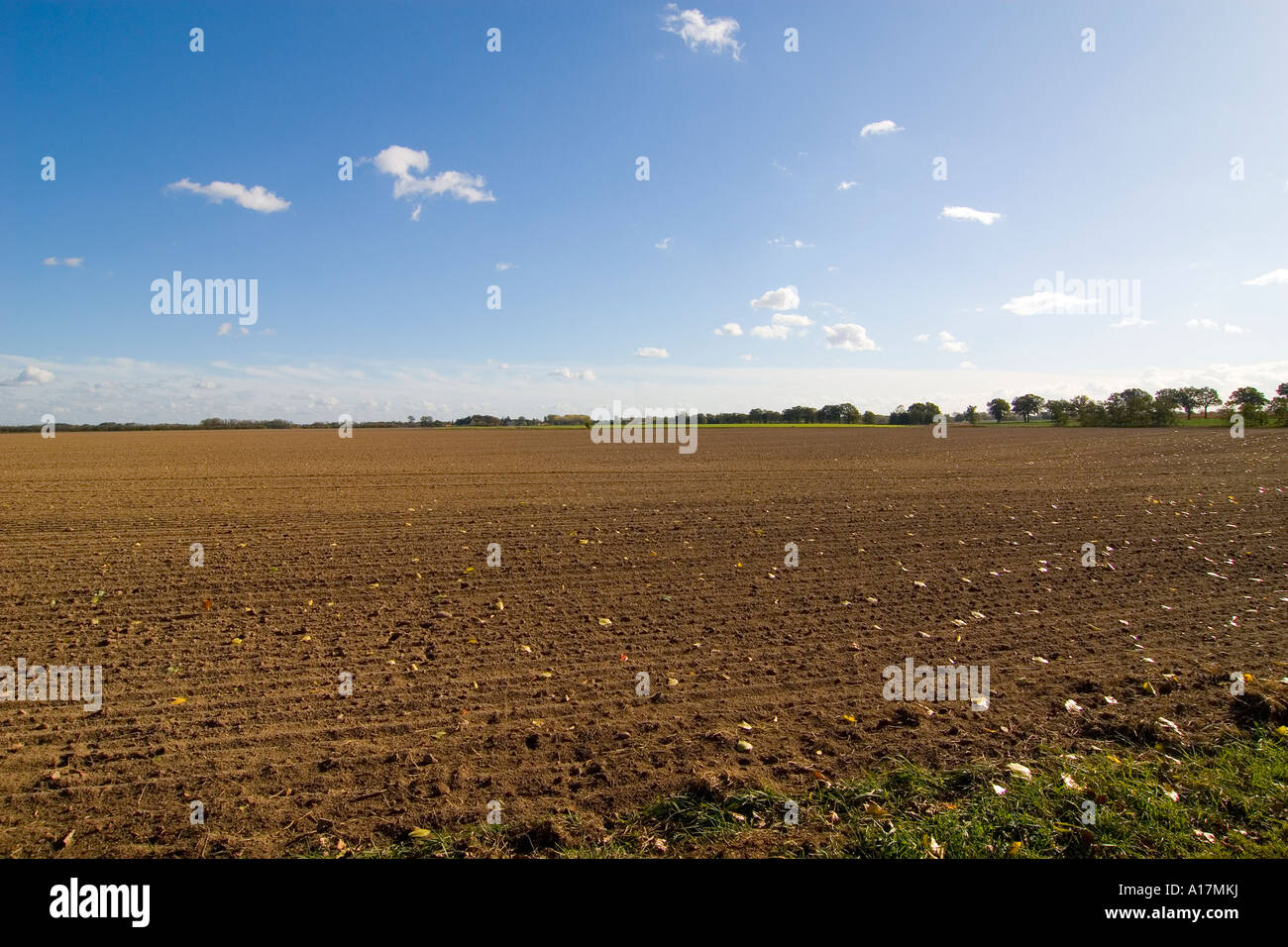 Harrowed Fields High Resolution Stock Photography and Images - Alamy