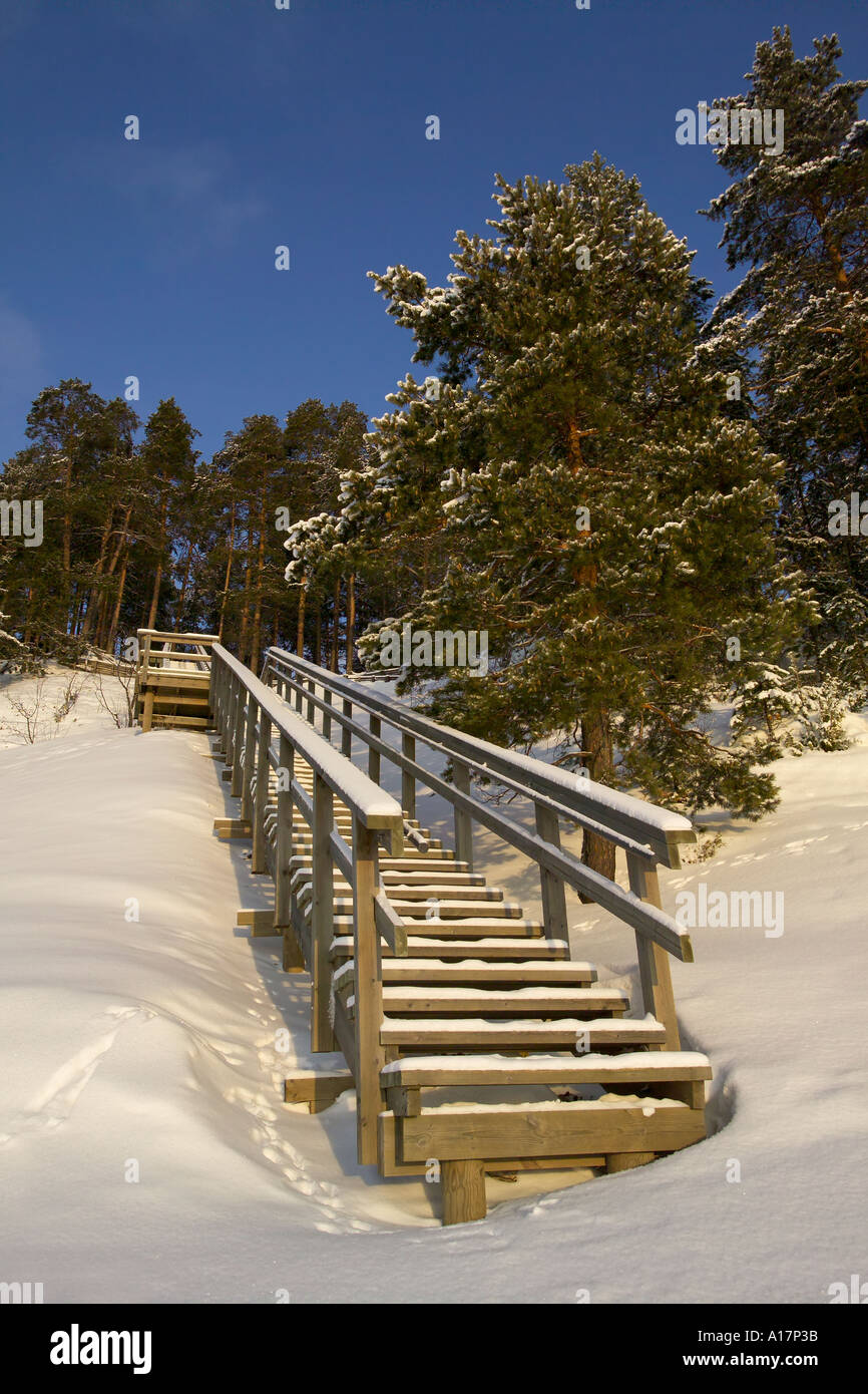 Steps going up hill Stock Photo - Alamy