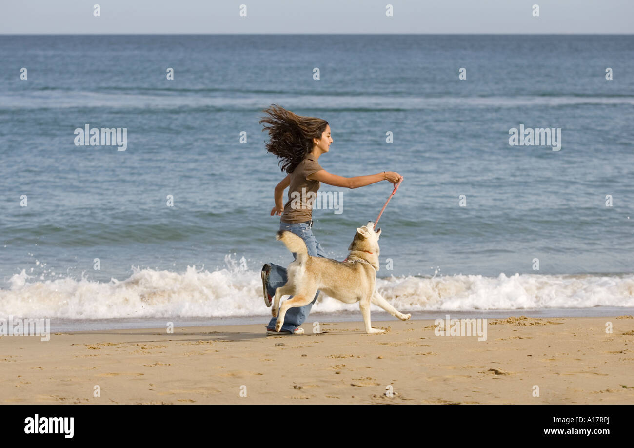 Husky walking on beach hi-res stock photography and images - Alamy