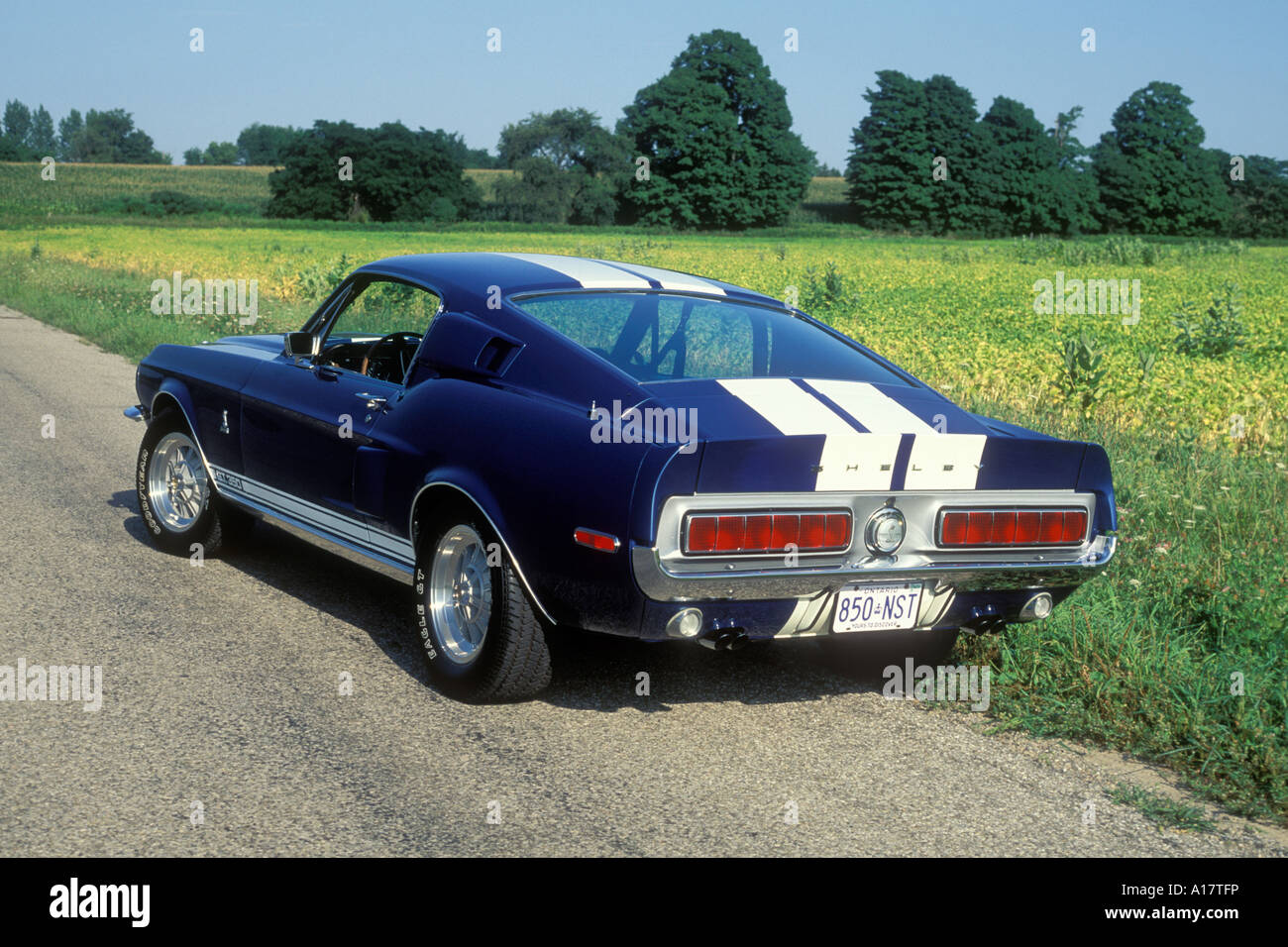 Rear view ford mustang shelby hi-res stock photography and images - Alamy