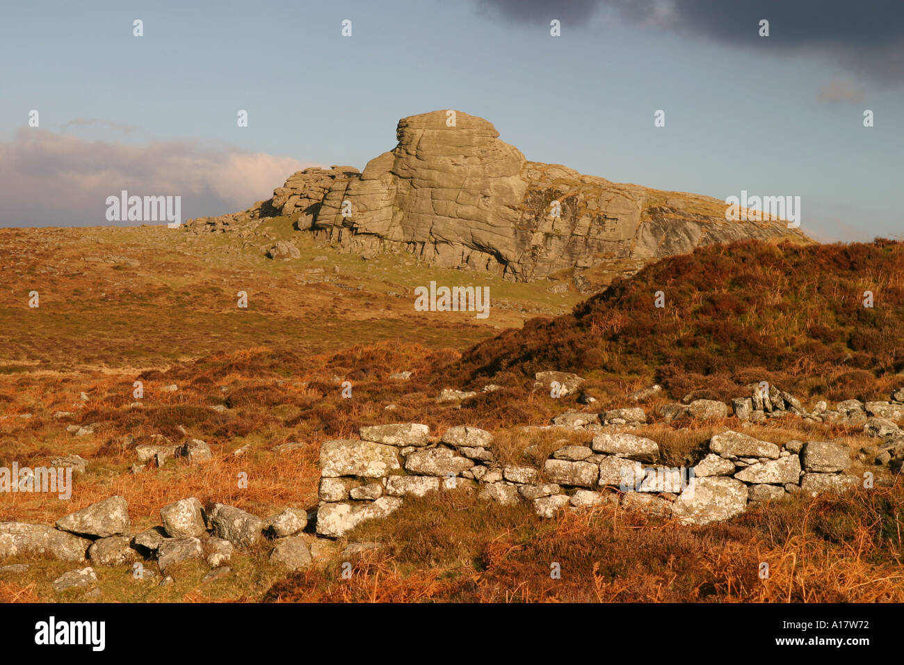 Haytor Rock granite tor Dartmoor Stock Photo - Alamy