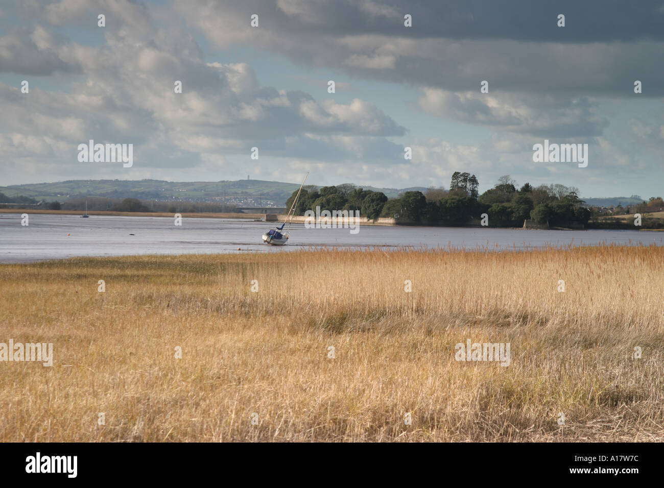 Exe Estuary Exton Stock Photo - Alamy