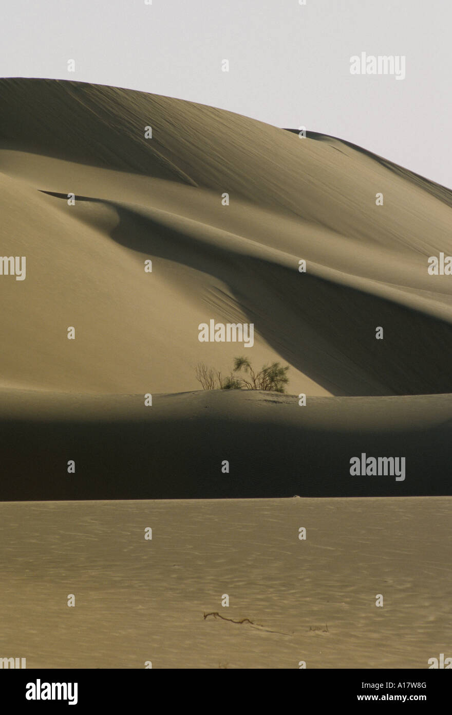 desert dunes ramlat al sab'atain empty quarter Stock Photo - Alamy