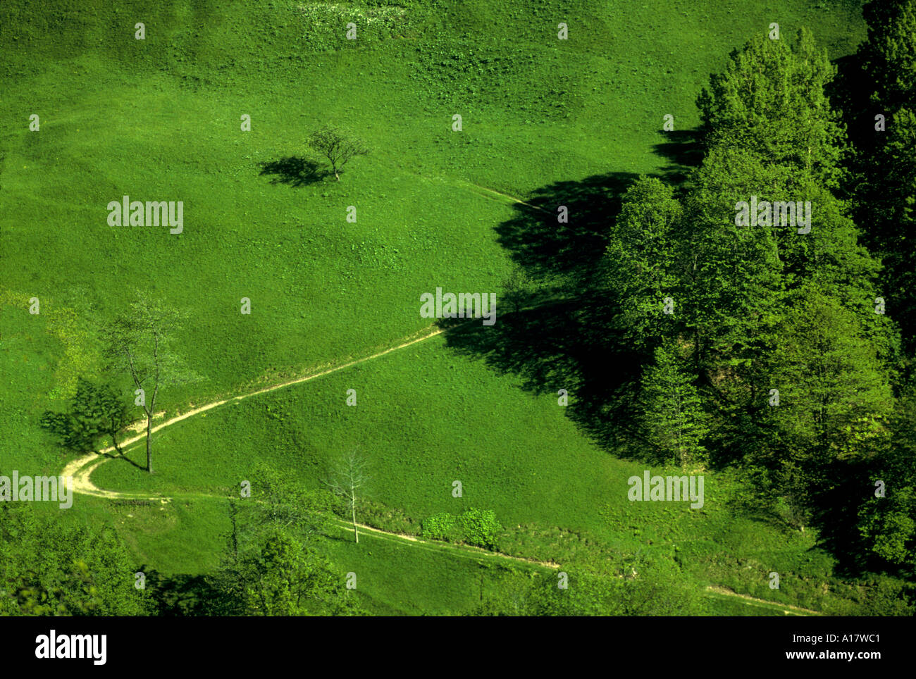 Muletrack hi-res stock photography and images - Alamy