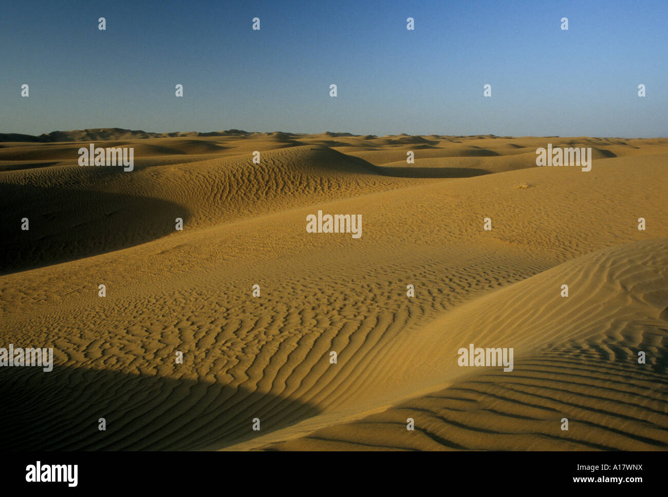 desert ramlat al sab'atain empty quarter yemen Stock Photo - Alamy