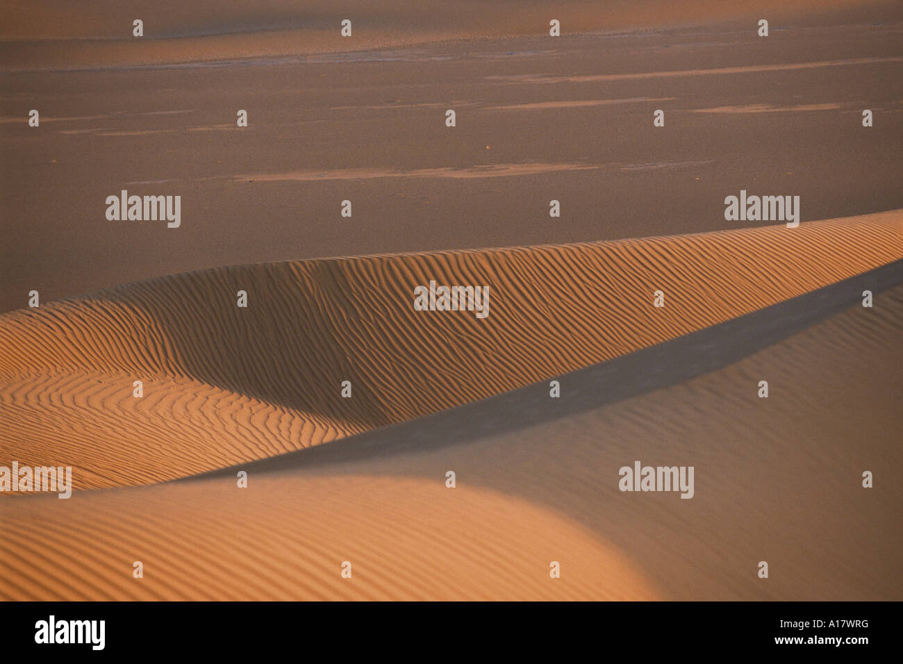 desert ramlat al sab'atain empty quarter yemen Stock Photo - Alamy