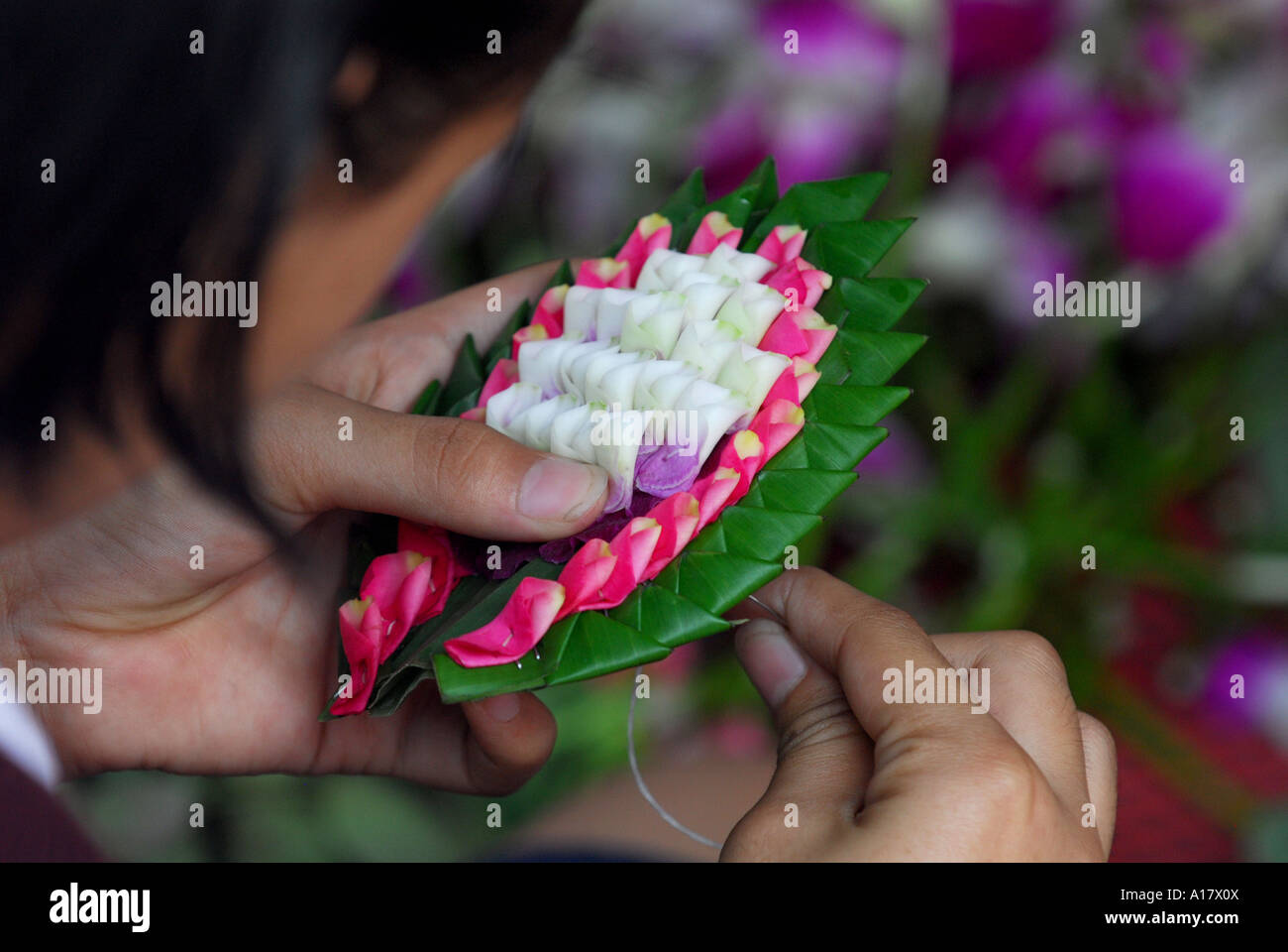 School children making Krathongs for the Loy Krathong festical Chiang ...