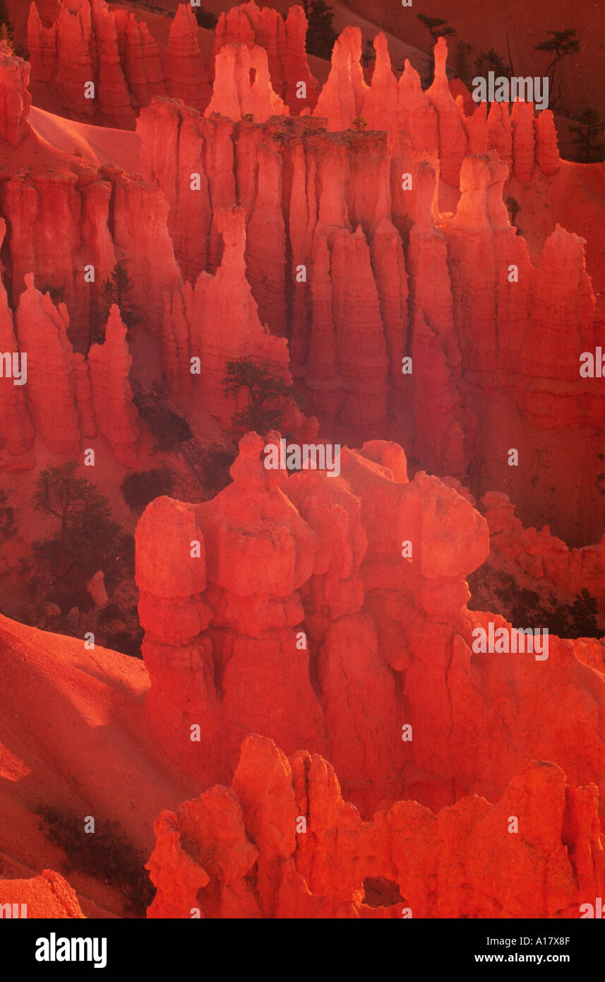 Bryce Canyon, Hoodoos with a totem pole-shaped body formed in the red ...