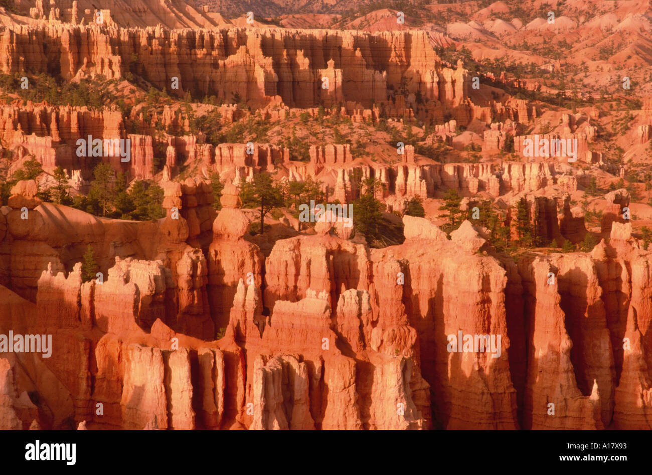 Bryce Canyon, Hoodoos with a totem pole-shaped body formed in the red ...