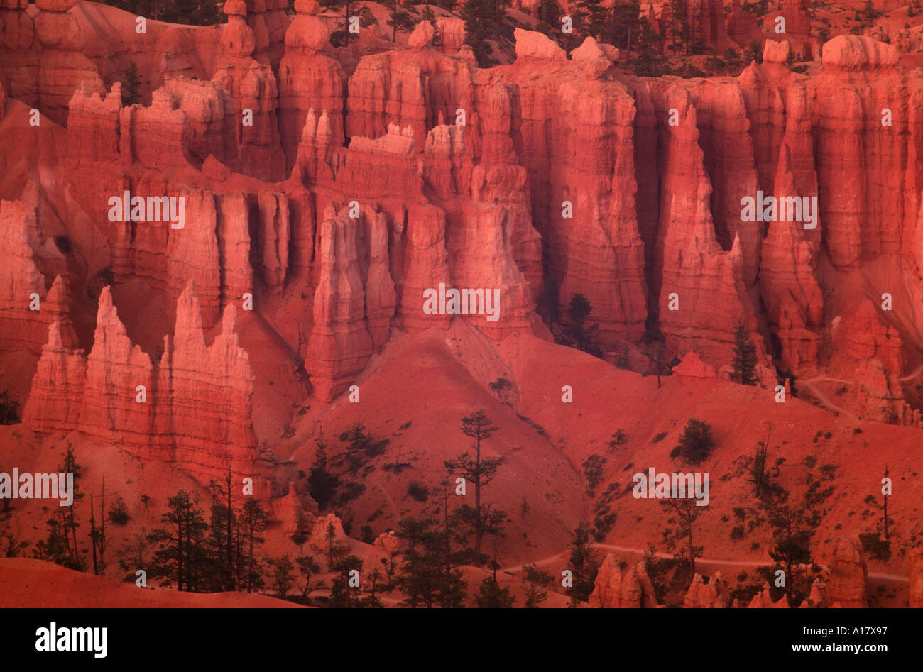 Bryce Canyon, Hoodoos with a totem pole-shaped body formed in the red ...