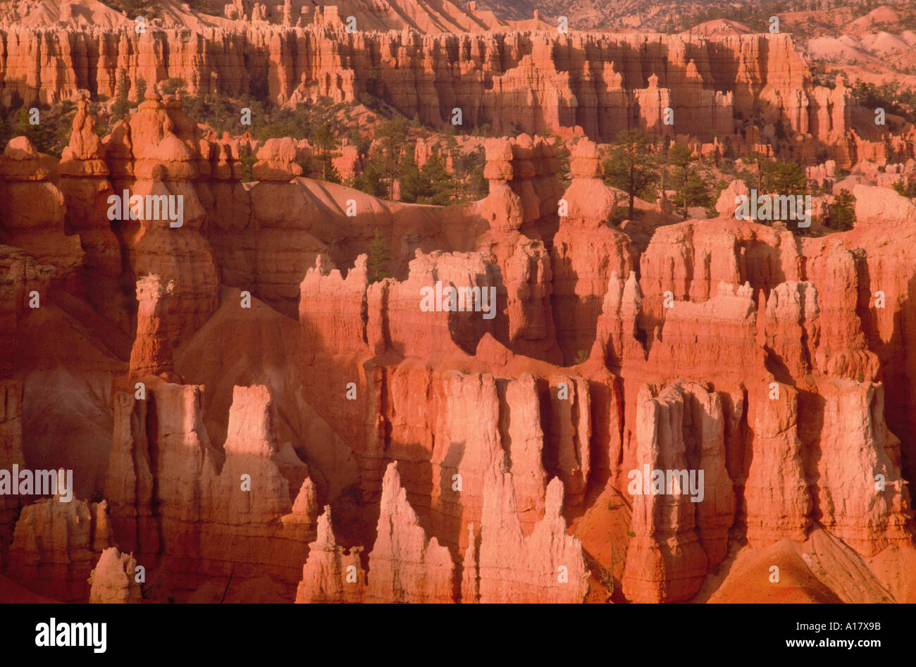 Bryce Canyon, Hoodoos with a totem pole-shaped body formed in the red ...