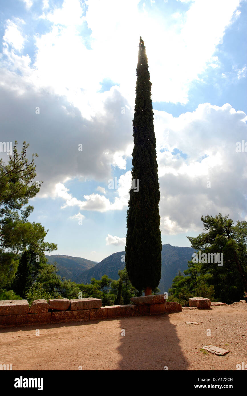 Delphi stadium ruins, Greece under Mount Parnasus Stock Photo - Alamy