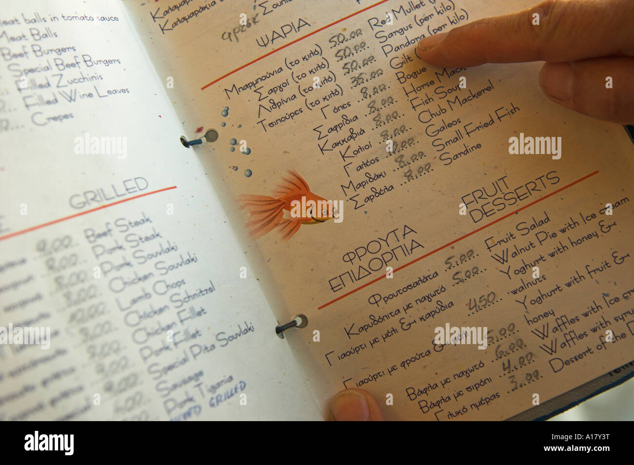 Hand holding illustrated dual language Greek taverna menu with finger ...