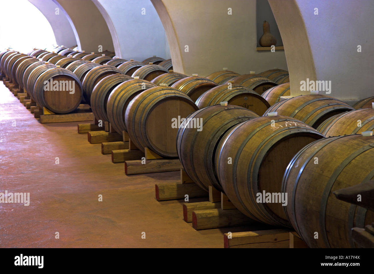 Wine casks in cellars Stock Photo - Alamy