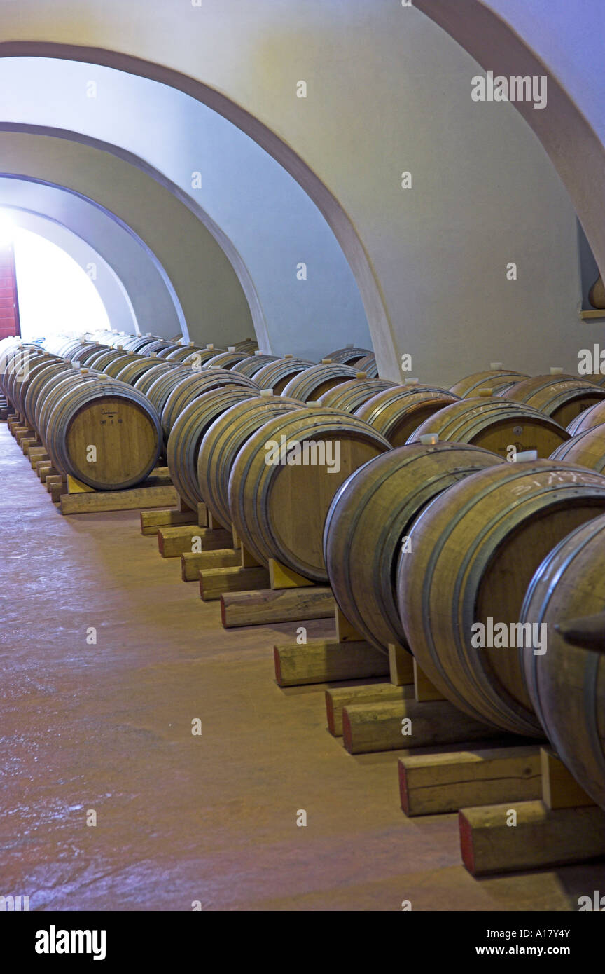 Wine casks in cellars Stock Photo - Alamy