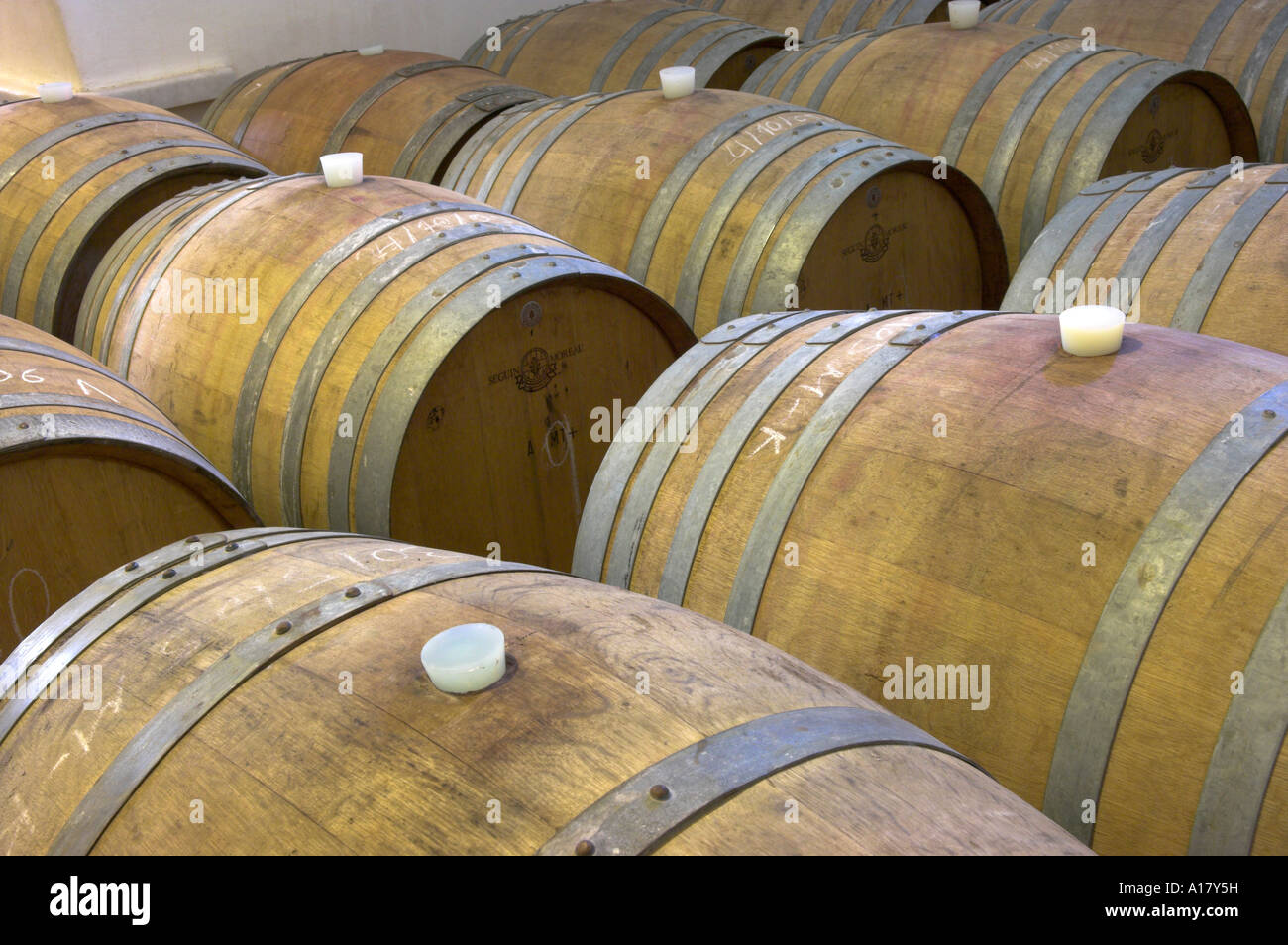 Wine casks in cellars Stock Photo - Alamy
