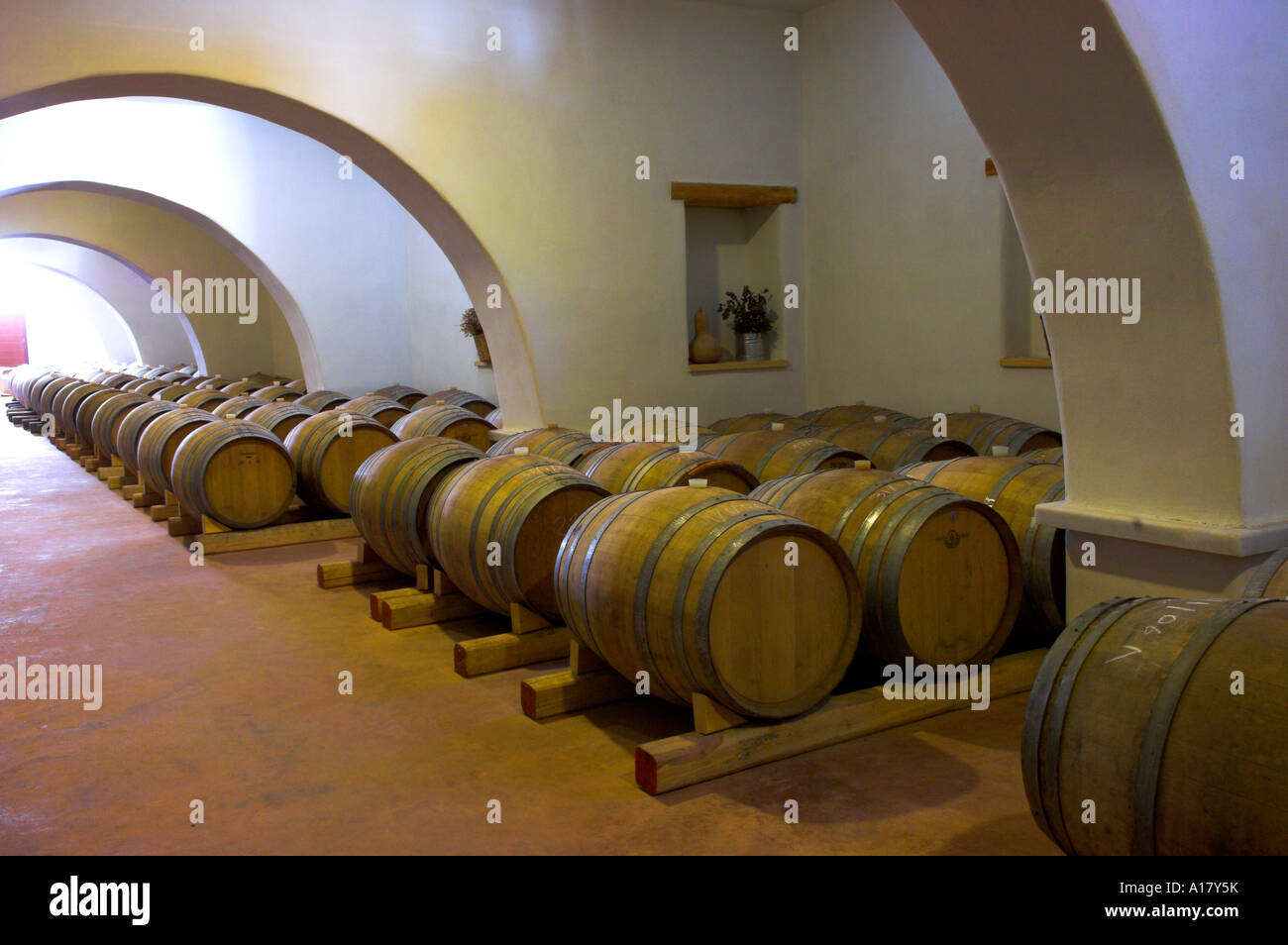 Wine casks in cellars Stock Photo - Alamy
