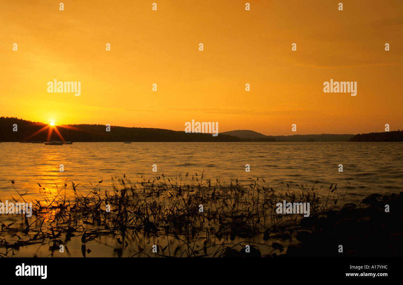 New england environment ecosystem ecology outdoors nature landscape ...
