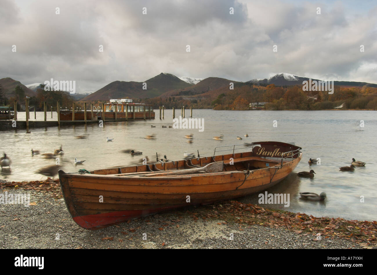 Pier empty rowing boat tranquil hi-res stock photography and images - Alamy