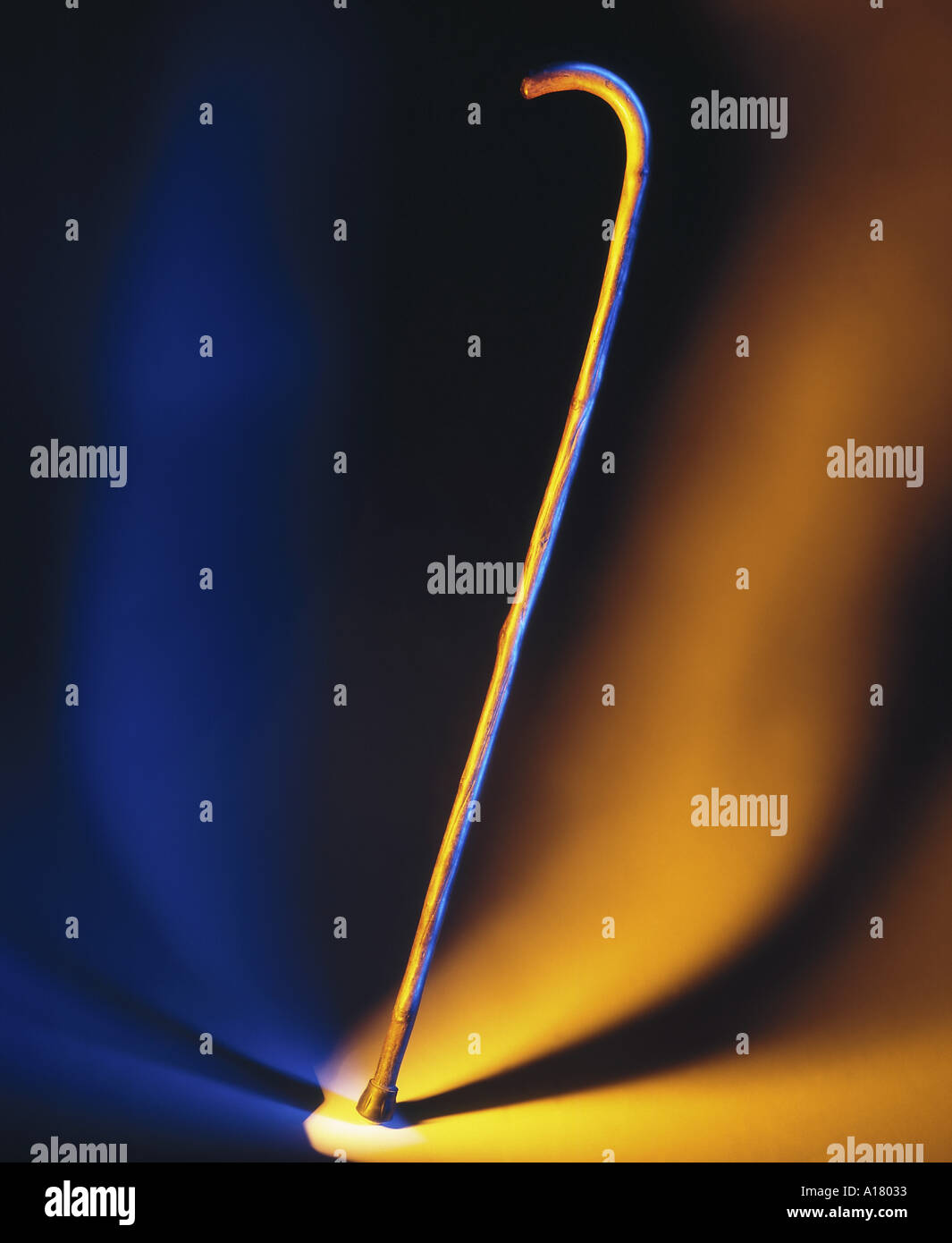 Walking stick stand hi-res stock photography and images - Alamy