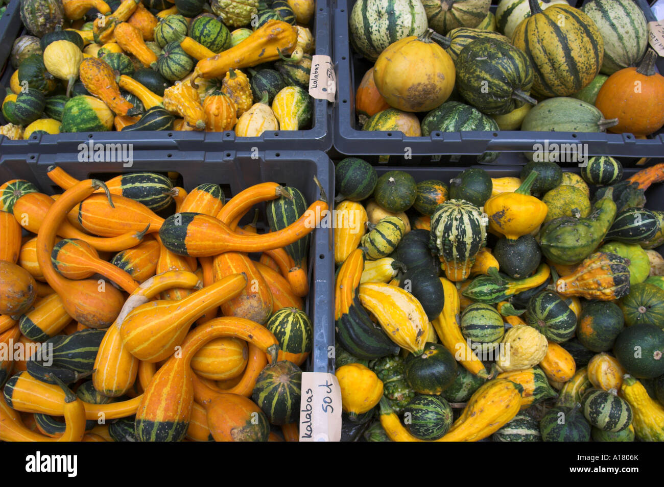 Kalabash vine hi-res stock photography and images - Alamy